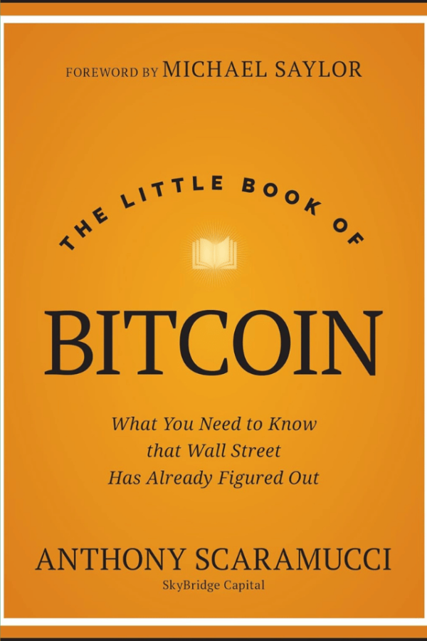 The Little Book of Bitcoin Review - Best Investment Books